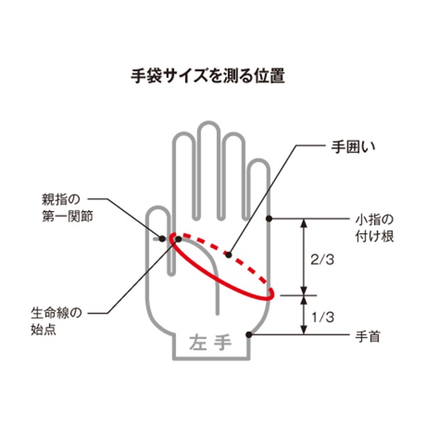 リバレイ RBB フレックスグローブ3C 8816(L BLK/ブラック): ウェア・靴・ウェーダー｜釣具の通販ならキャスティングオンラインストア【公式】